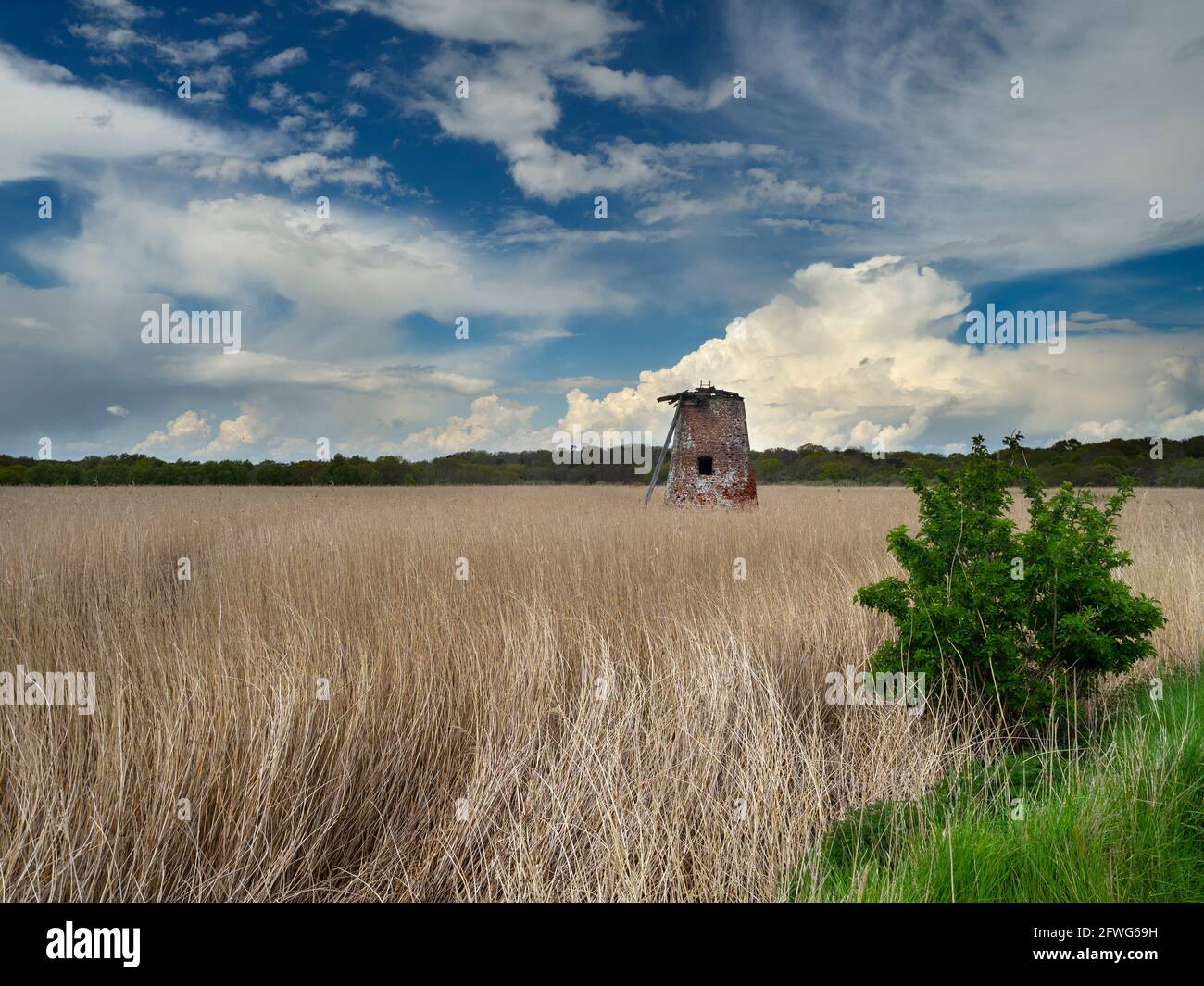 Old windmill on Dingle marshes on the coast near Dunwich Suffolk late ...
