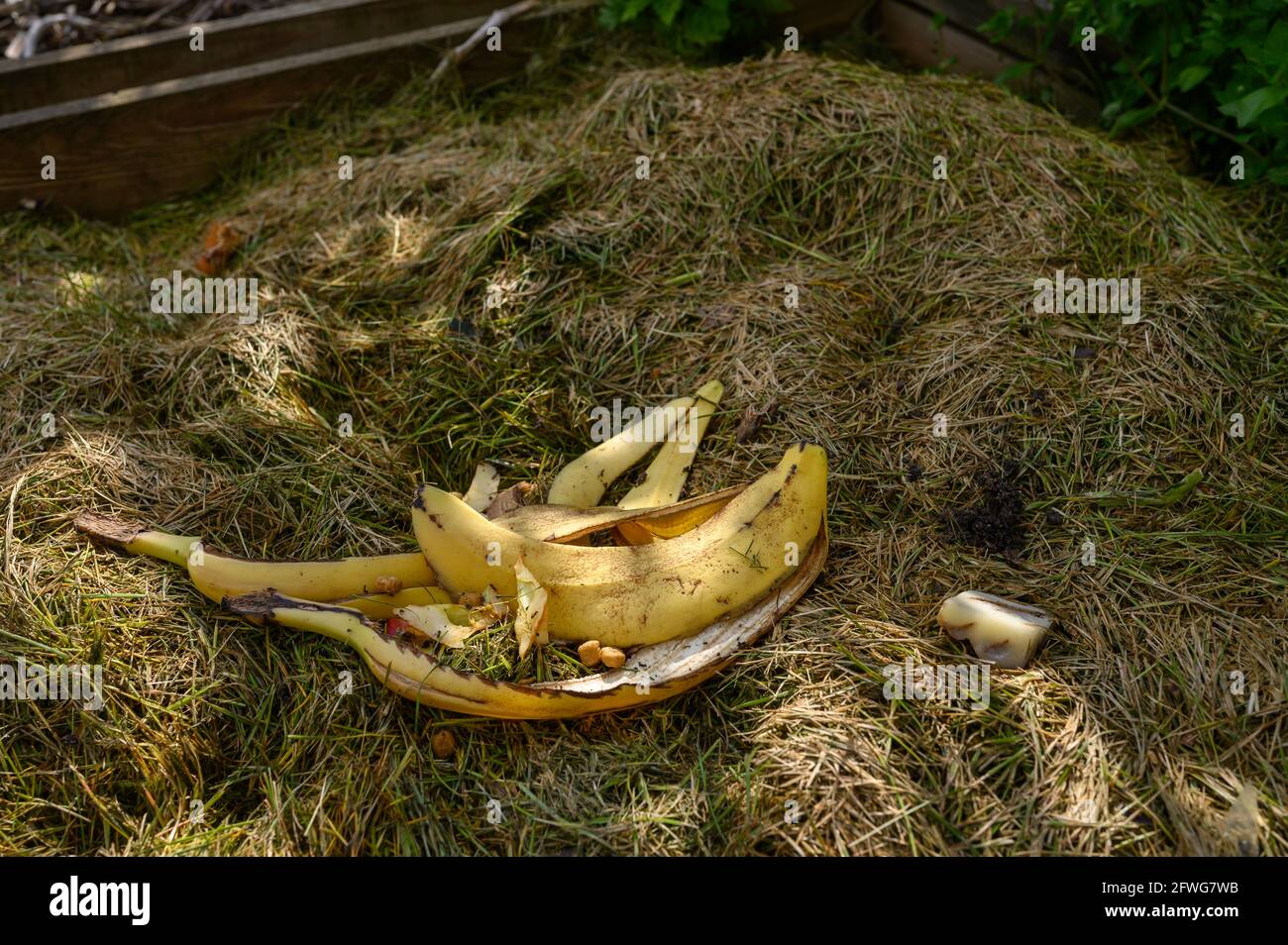 Household composting hi-res stock photography and images - Alamy