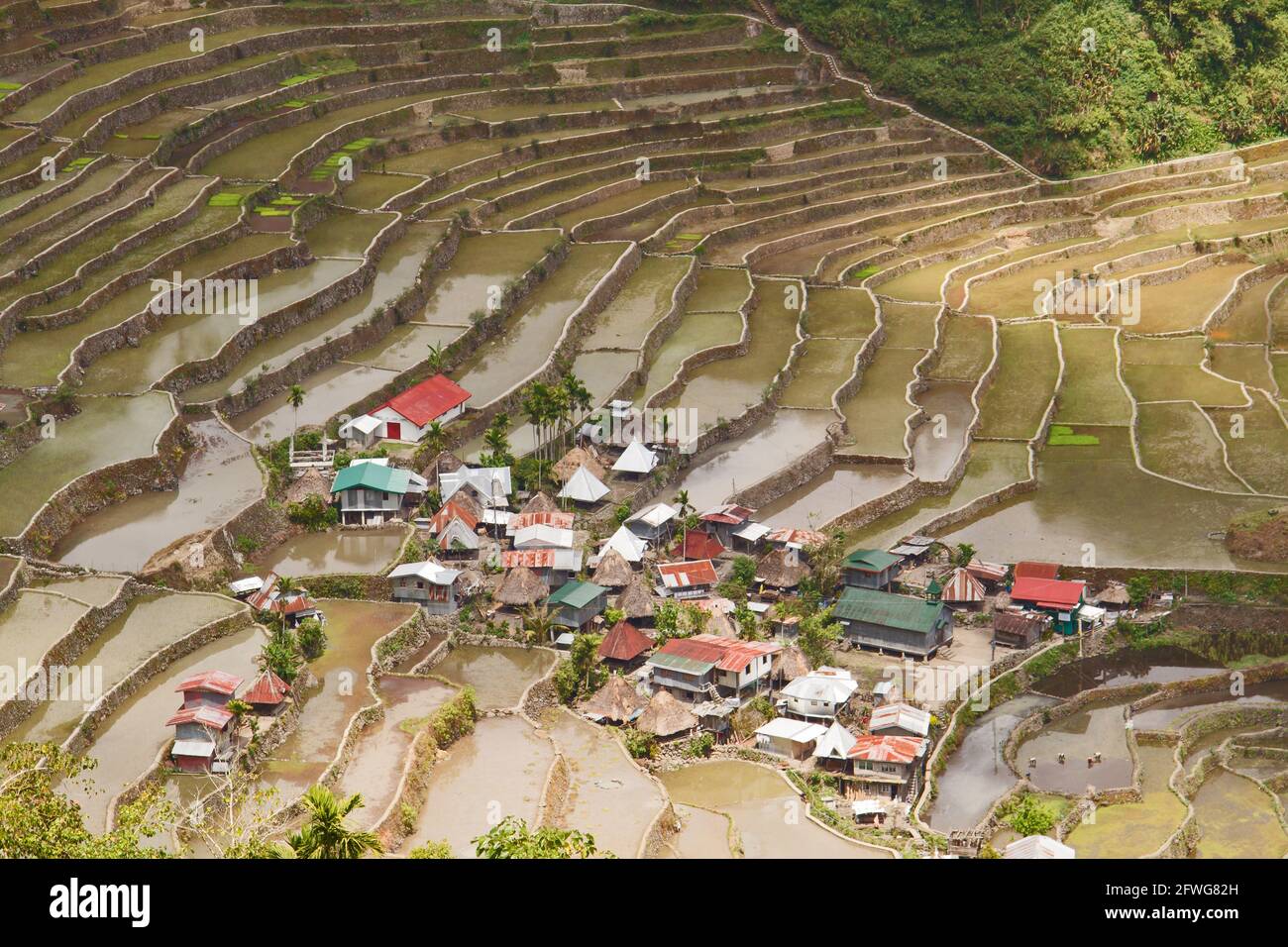 Philippines Rice Terraces Stock Photo - Alamy