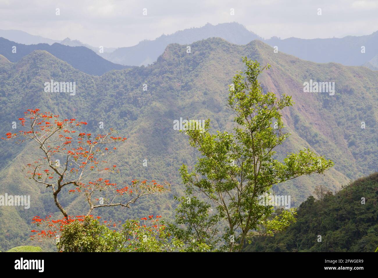 Philippines Rice Terraces Stock Photo - Alamy