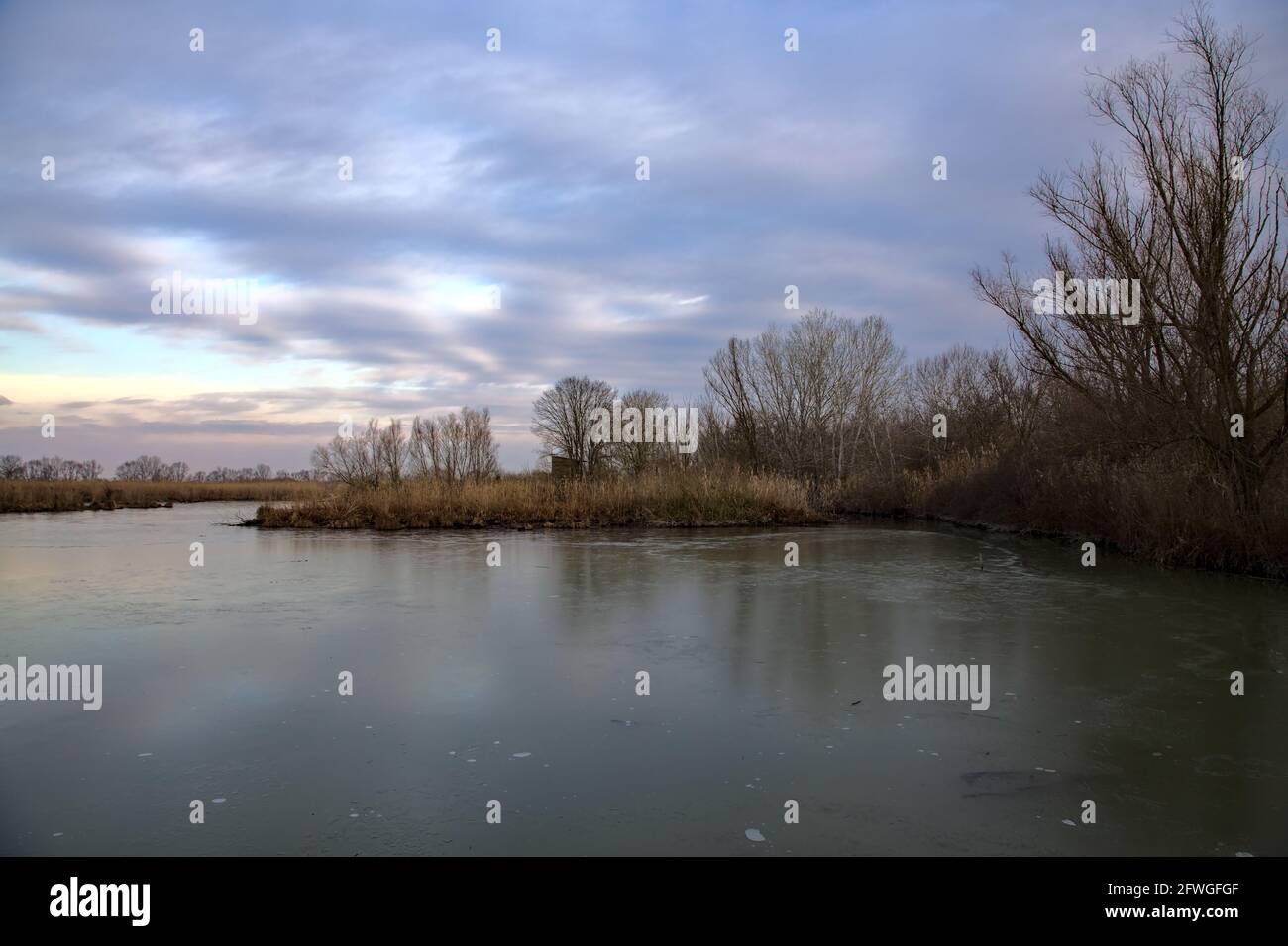 Pond in a marsh of a park in the italian countryside in winter Stock ...
