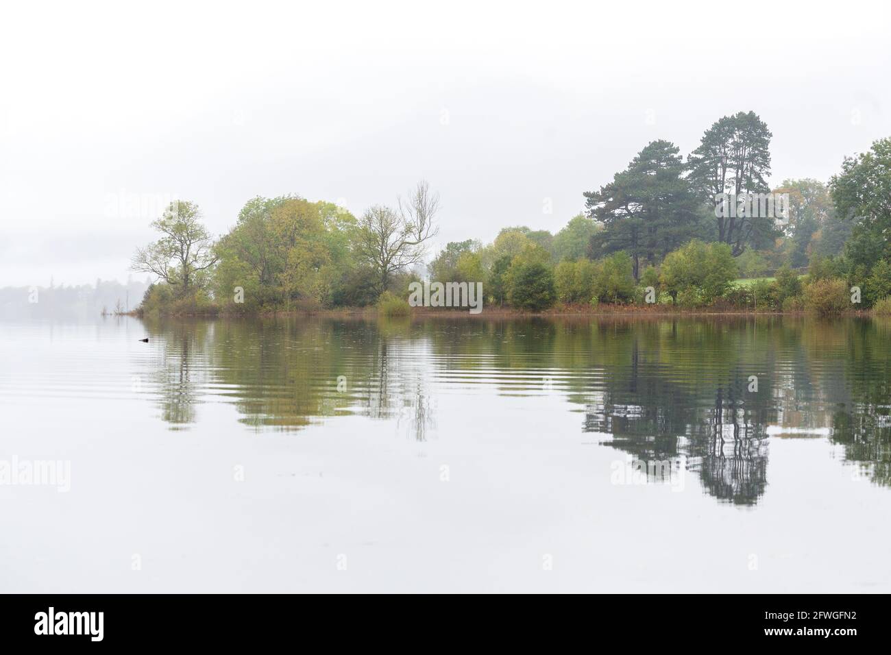 Shore of derwent water hi-res stock photography and images - Alamy