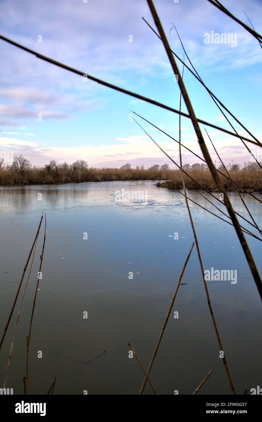 Pond in a marsh of a park in the italian countryside in winter Stock ...