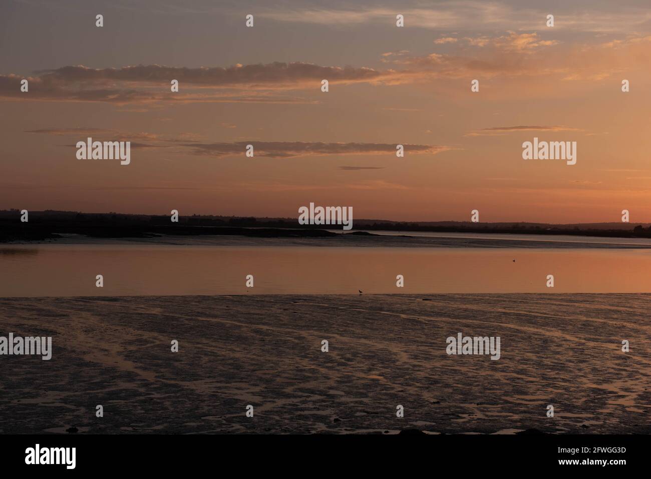 Dusk at Essex Steeple water estuary Stock Photo - Alamy