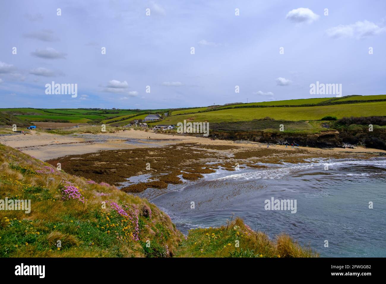 Poldhu Beach South West Coast Path Lizard Point Cornwall England Stock ...