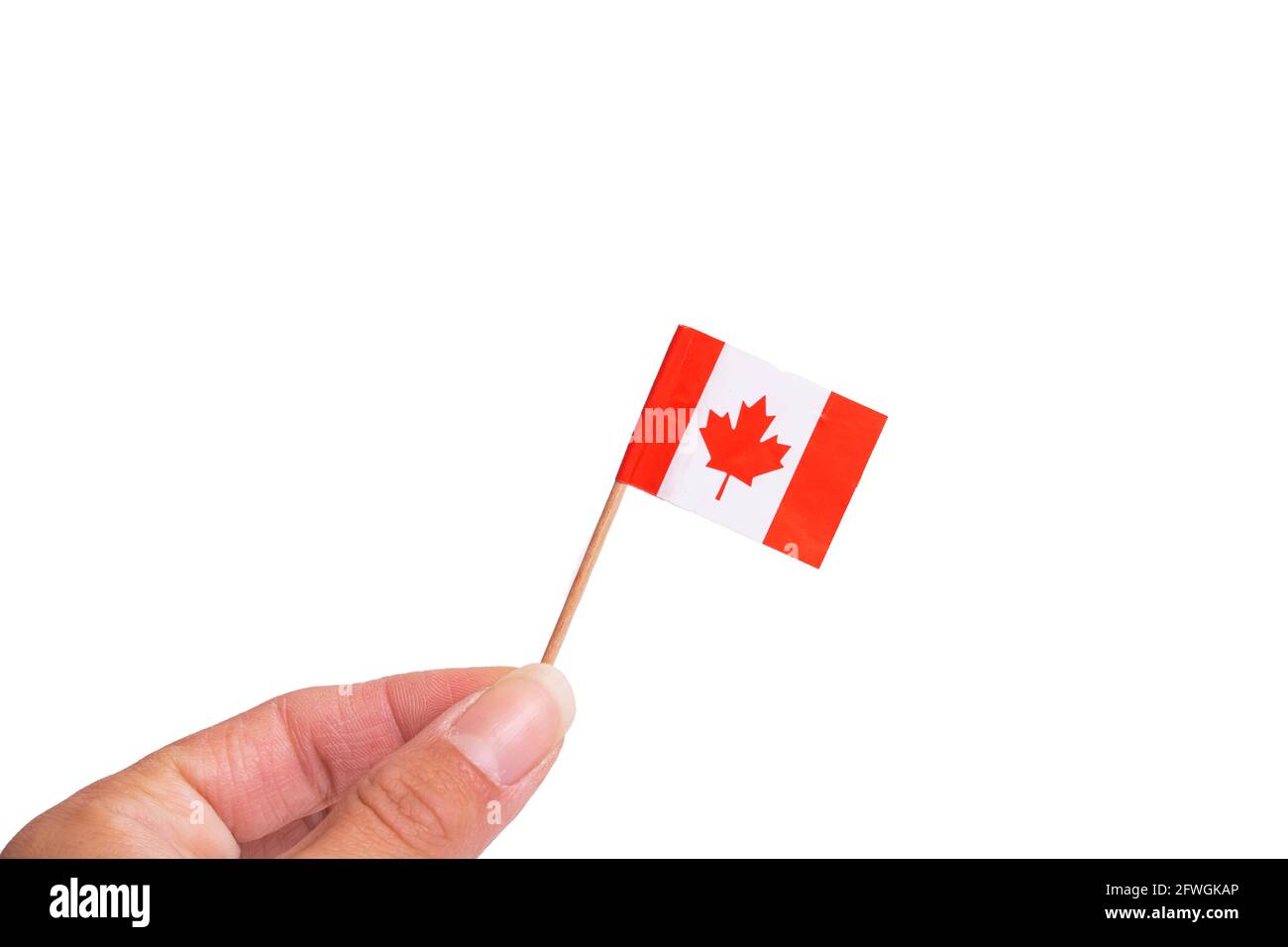 Small canada flag in hand isolated on white background Stock Photo - Alamy