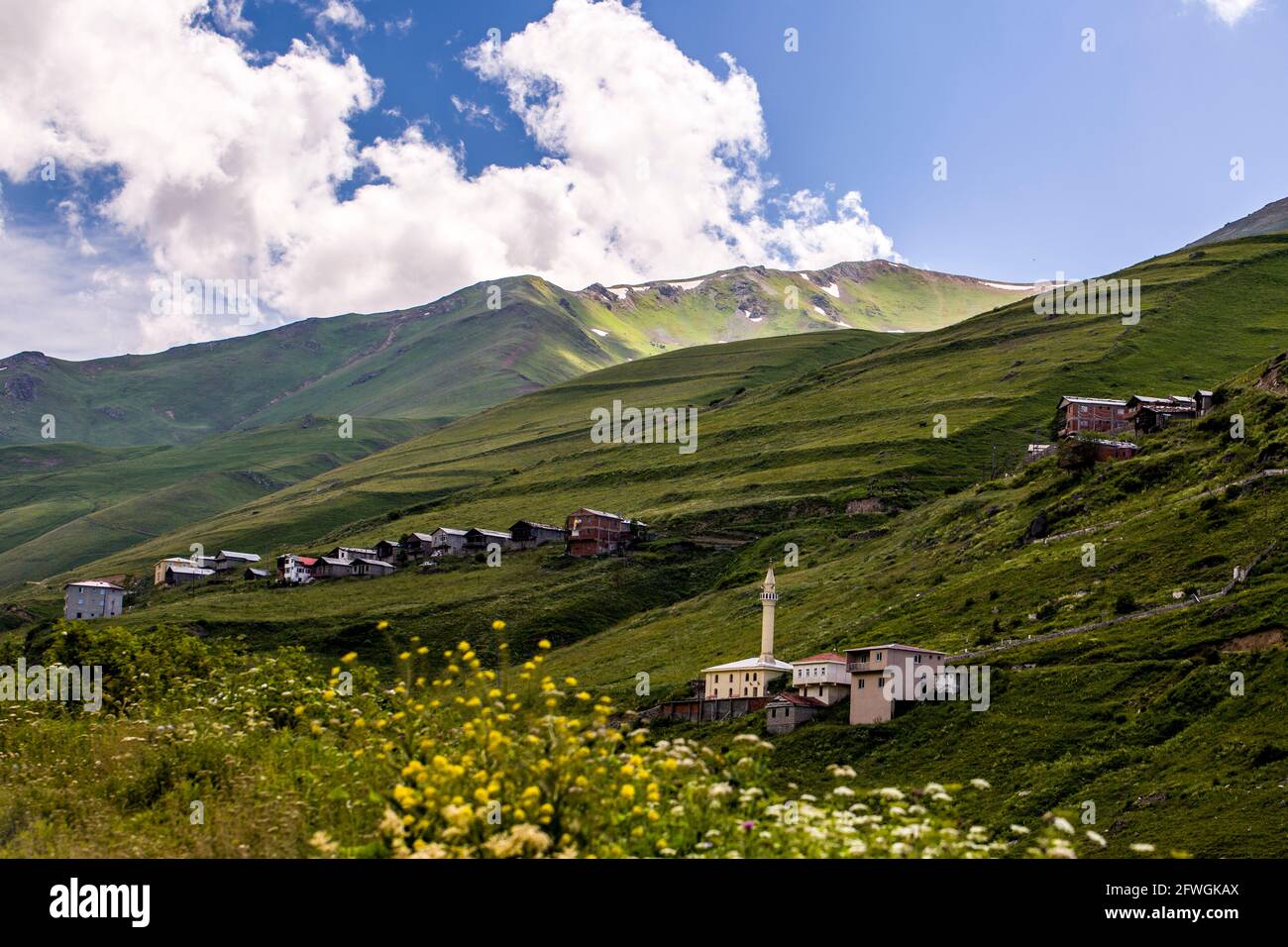An image of houses positioned on mountains where nature gushes from the ...