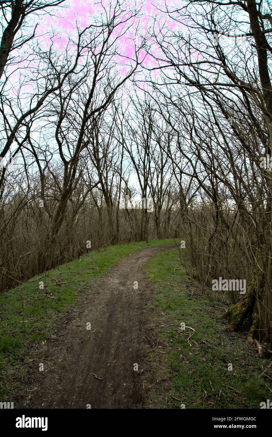 Narrow arching hi-res stock photography and images - Alamy