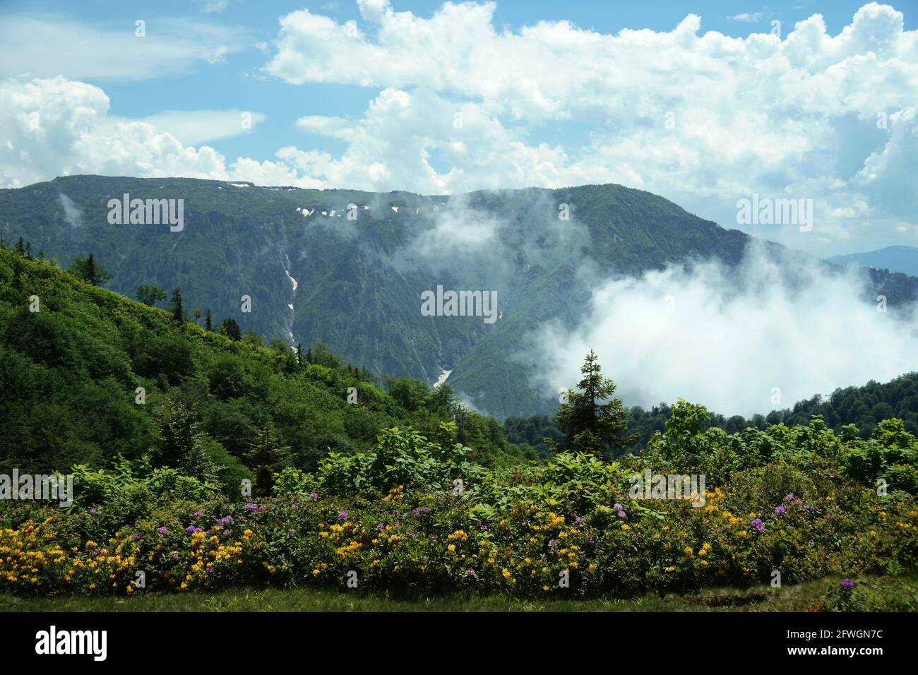 A panoramic photo of the clouds descending to the earth and spreading ...