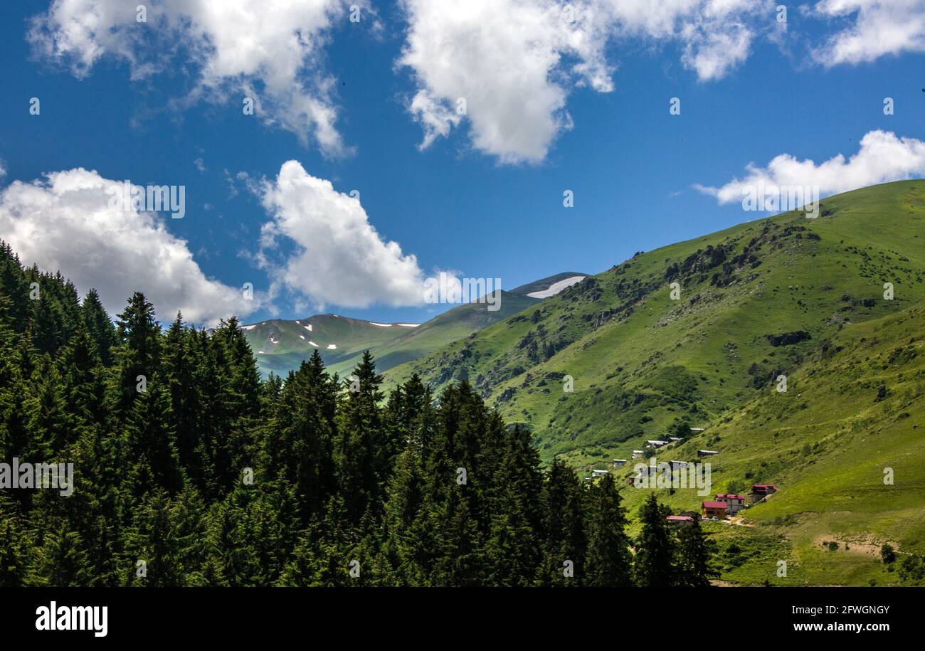 An image of houses positioned on mountains where nature gushes from the ...