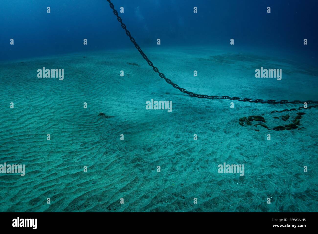 Real Anchor Underwater