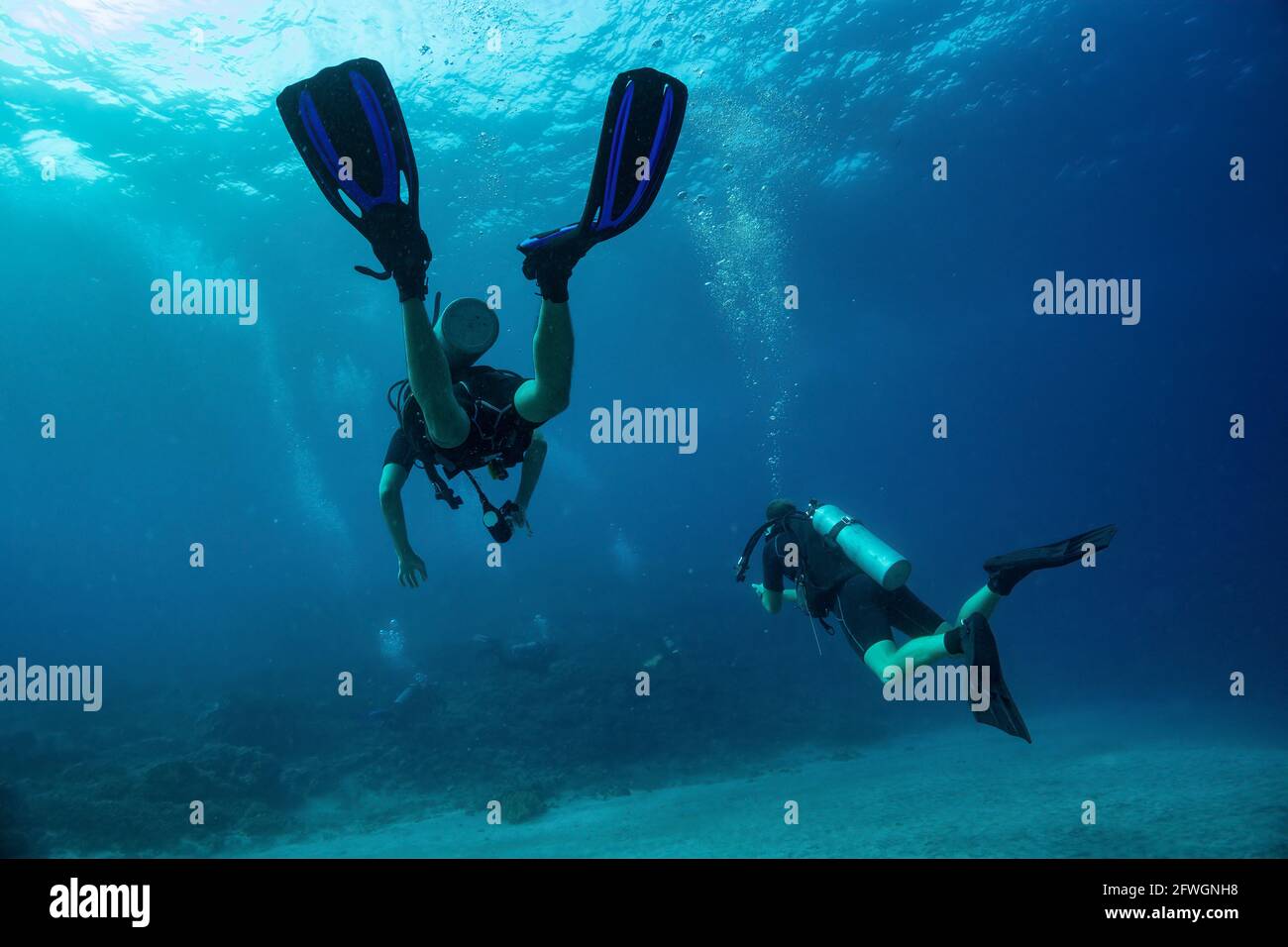 Wet suit dive hi-res stock photography and images - Alamy