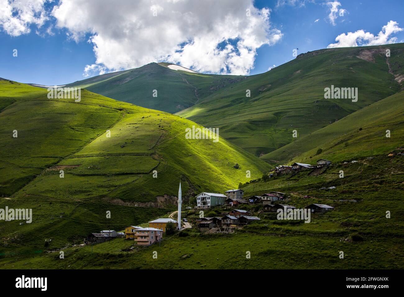 An image of houses positioned on mountains where nature gushes from the ...