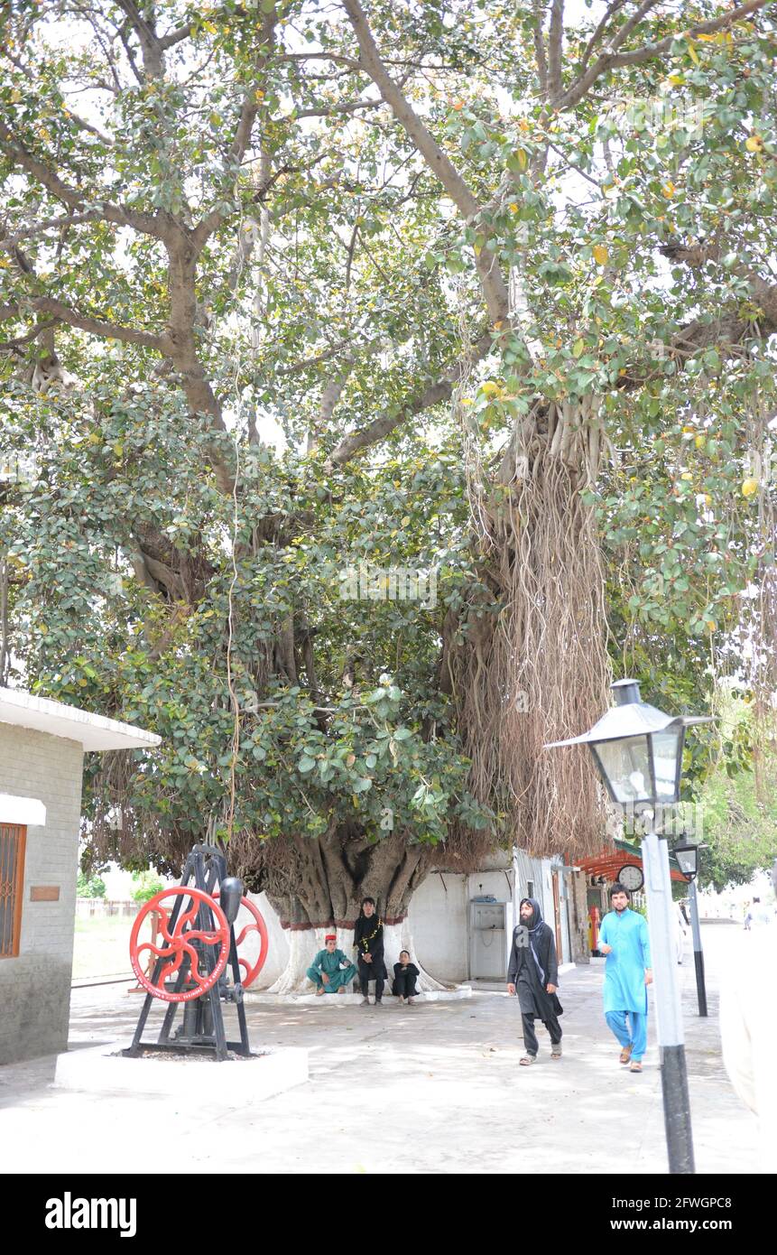 Old historic ancient hi-res stock photography and images - Alamy