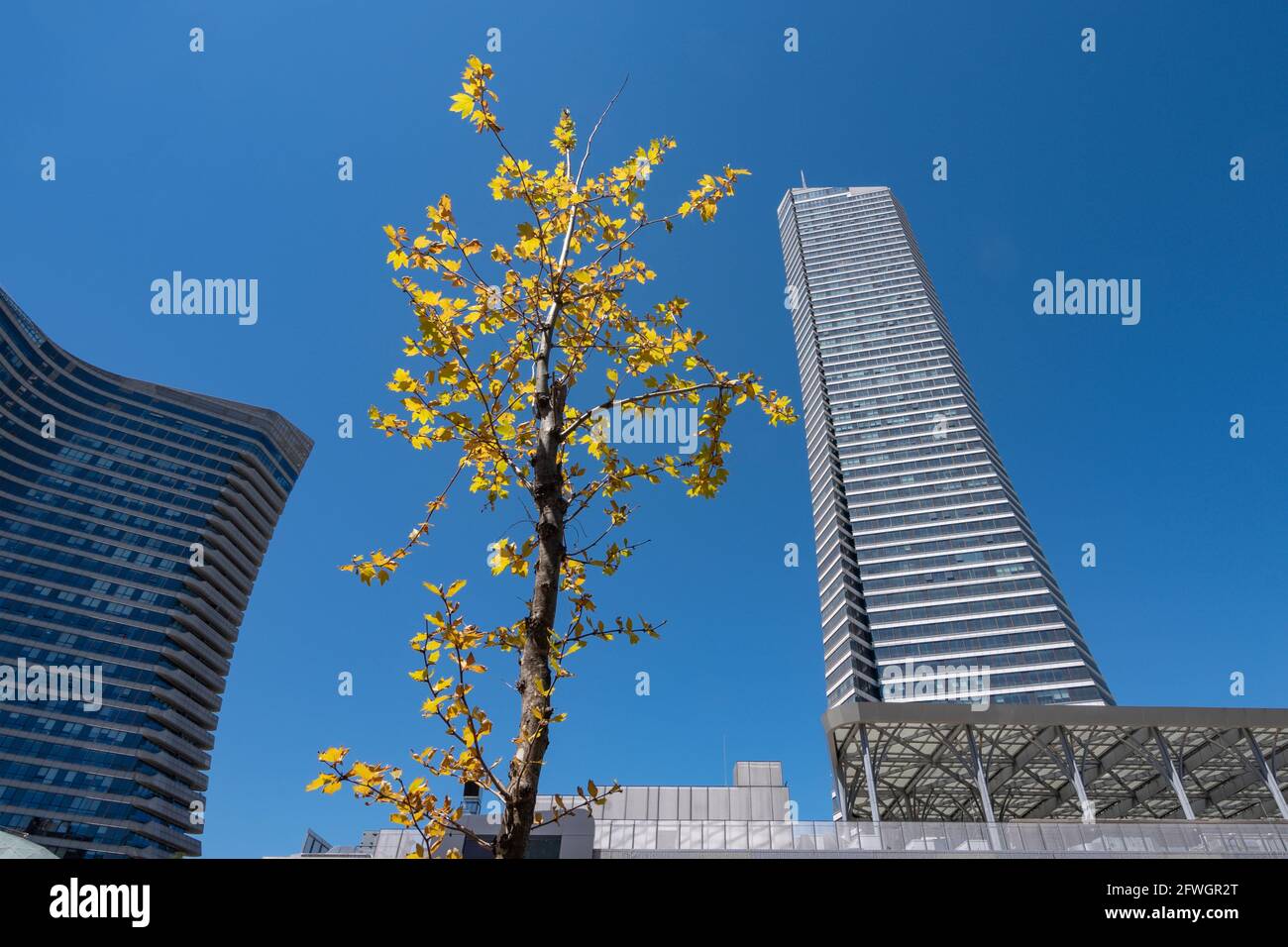 Atasehir district of Istanbul, Turkey Stock Photo - Alamy