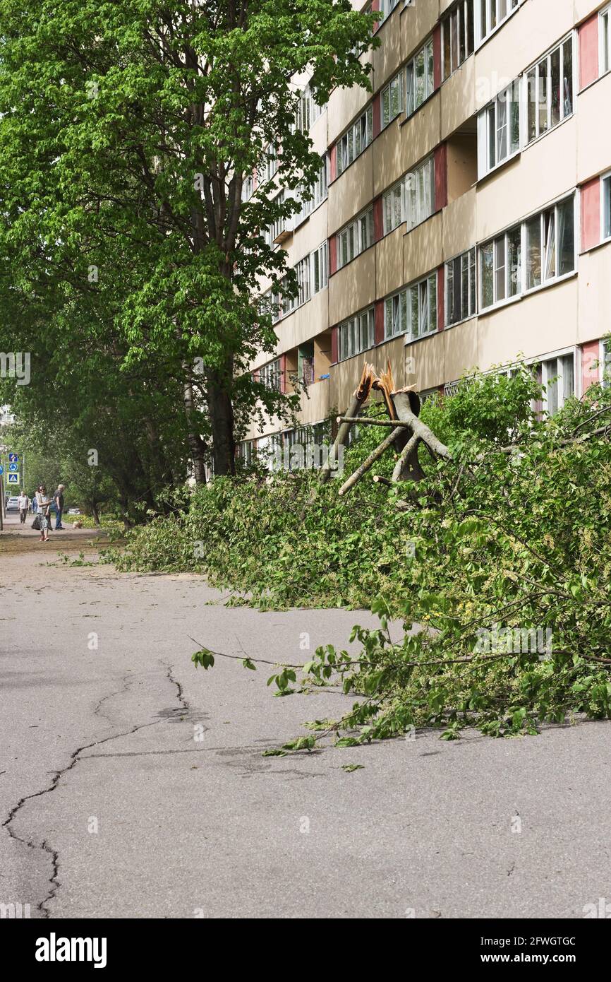Street after storm Stock Photo - Alamy
