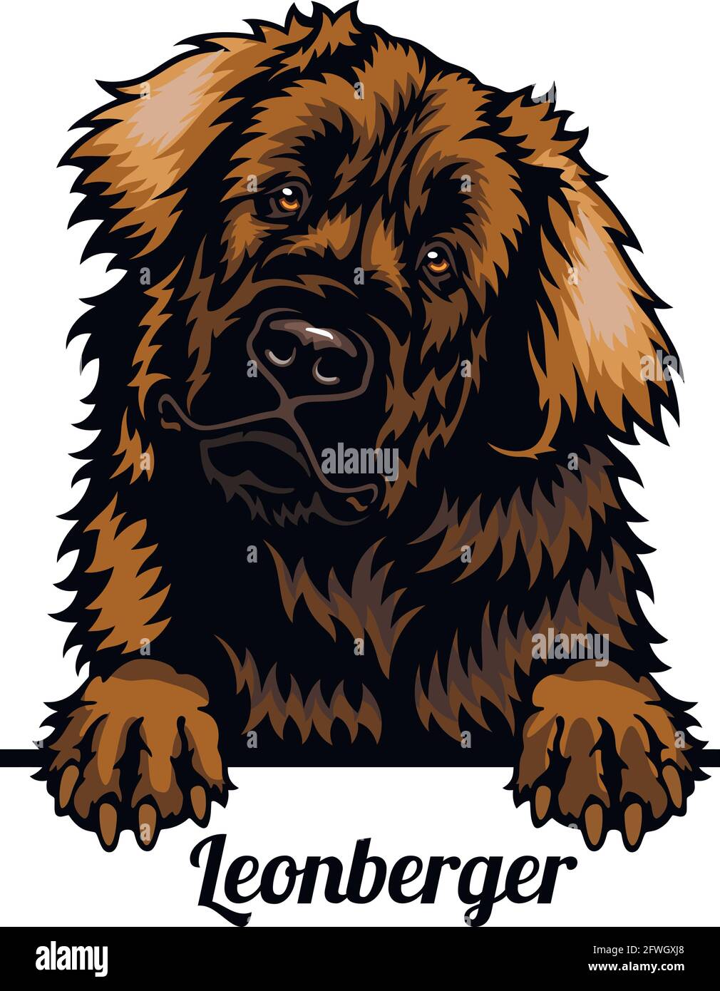 Leonberger - dog breed. Color image of a dogs head isolated on a white ...