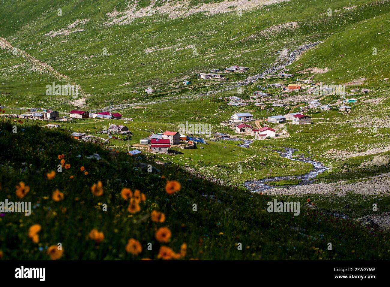 An image of houses positioned on mountains where nature gushes from the ...