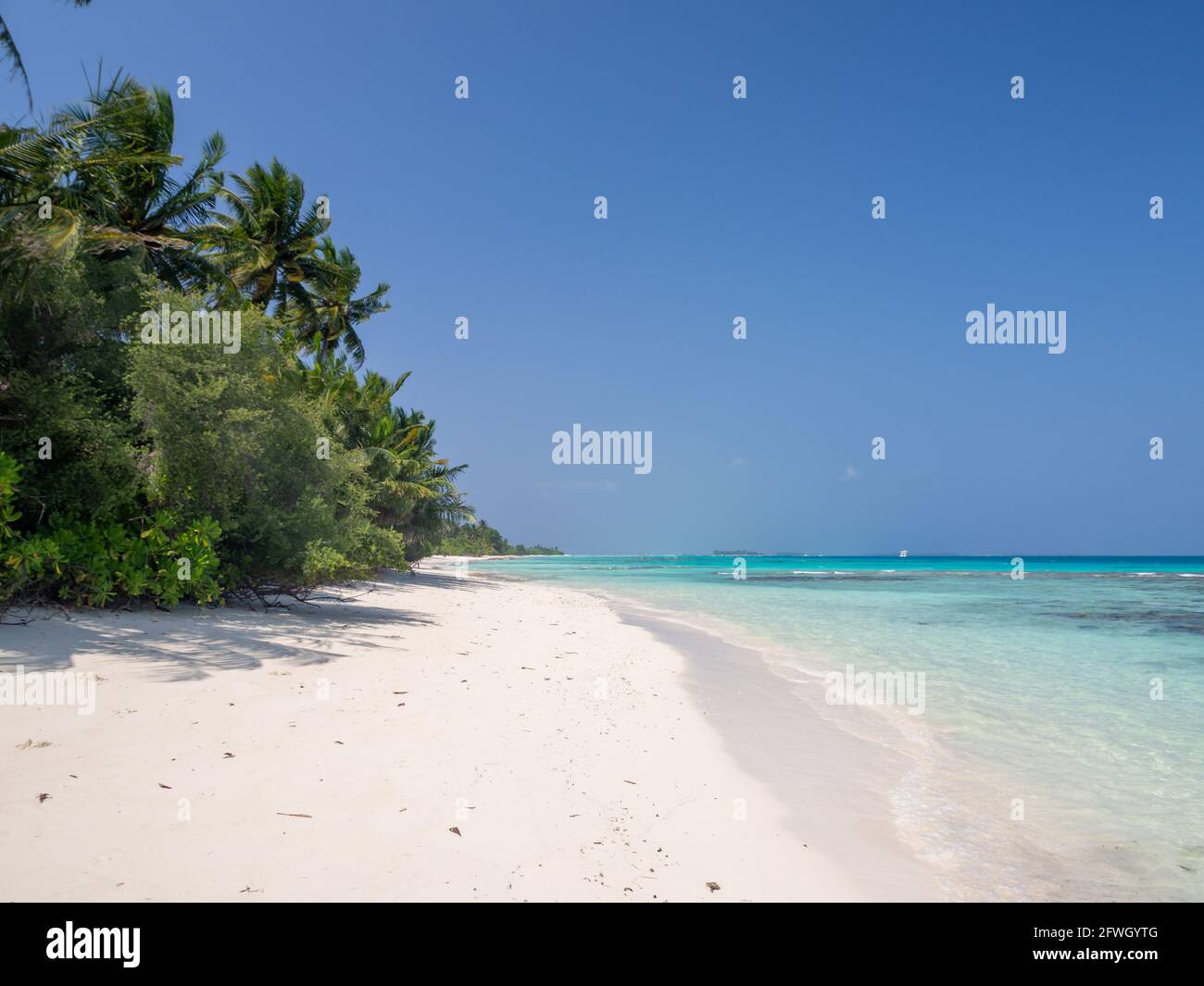 Maldives tropical islands panoramic scene, idyllic beach palm tree ...