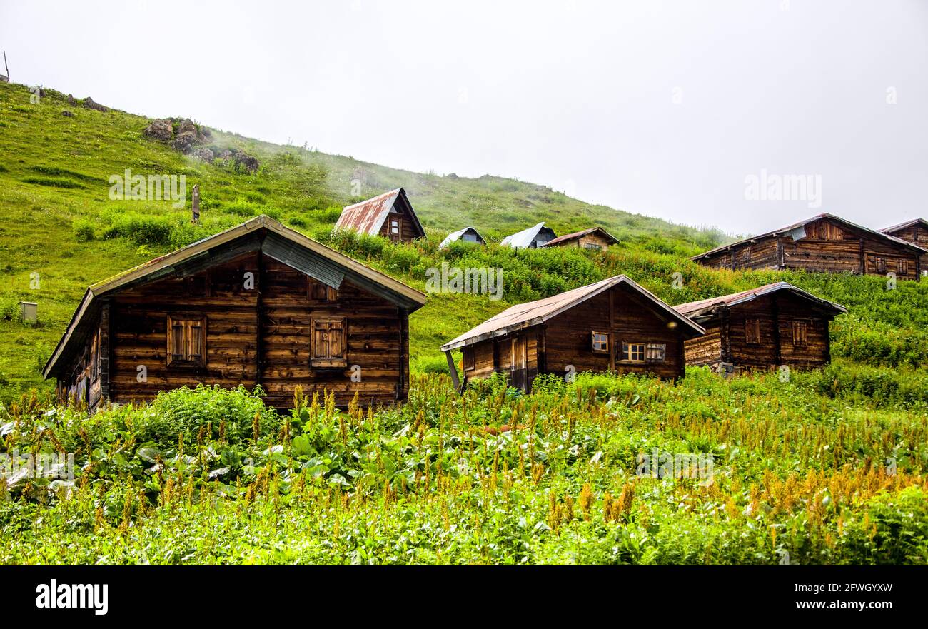 An image of houses positioned on mountains where nature gushes from the ...