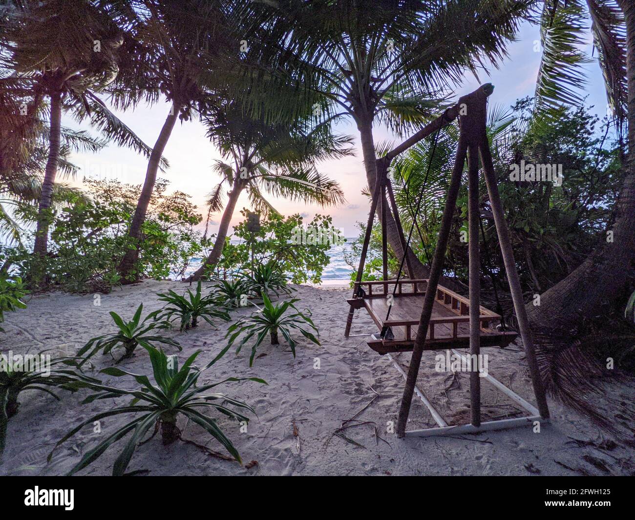 Tropical forest walk path, road between palm coconut trees, exotic ...