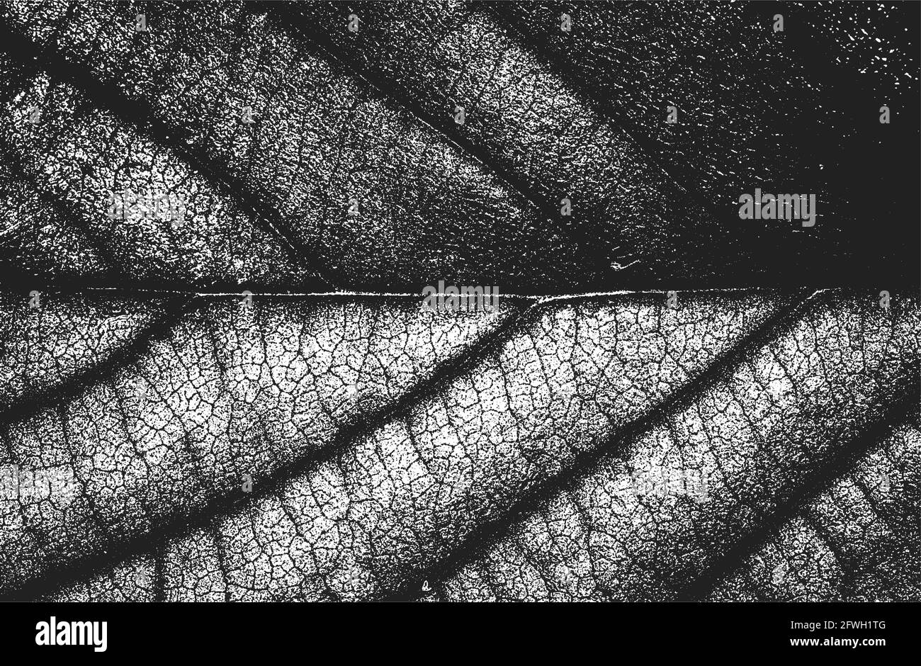 Distressed overlay wooden leaf macro texture with streaks. grunge black ...