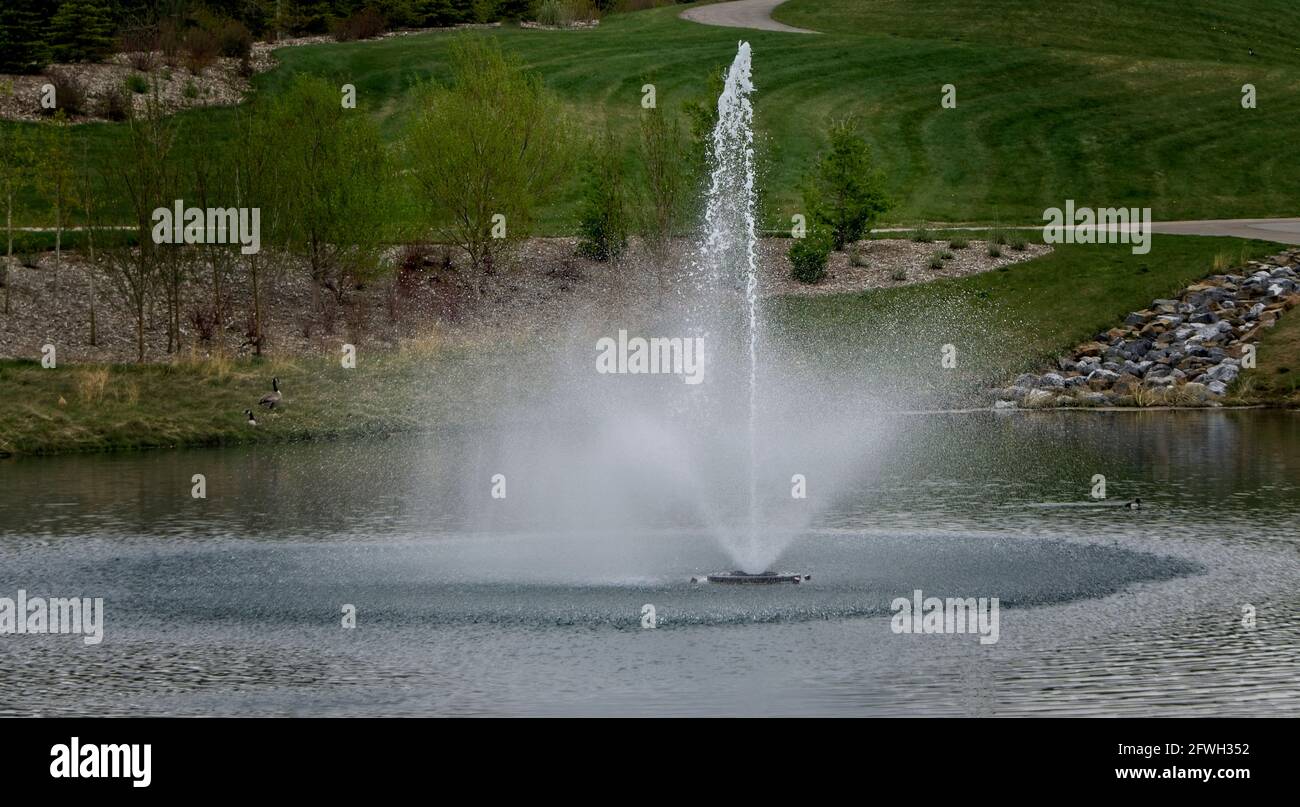 University dog park water Calgary Alberta Stock Photo - Alamy