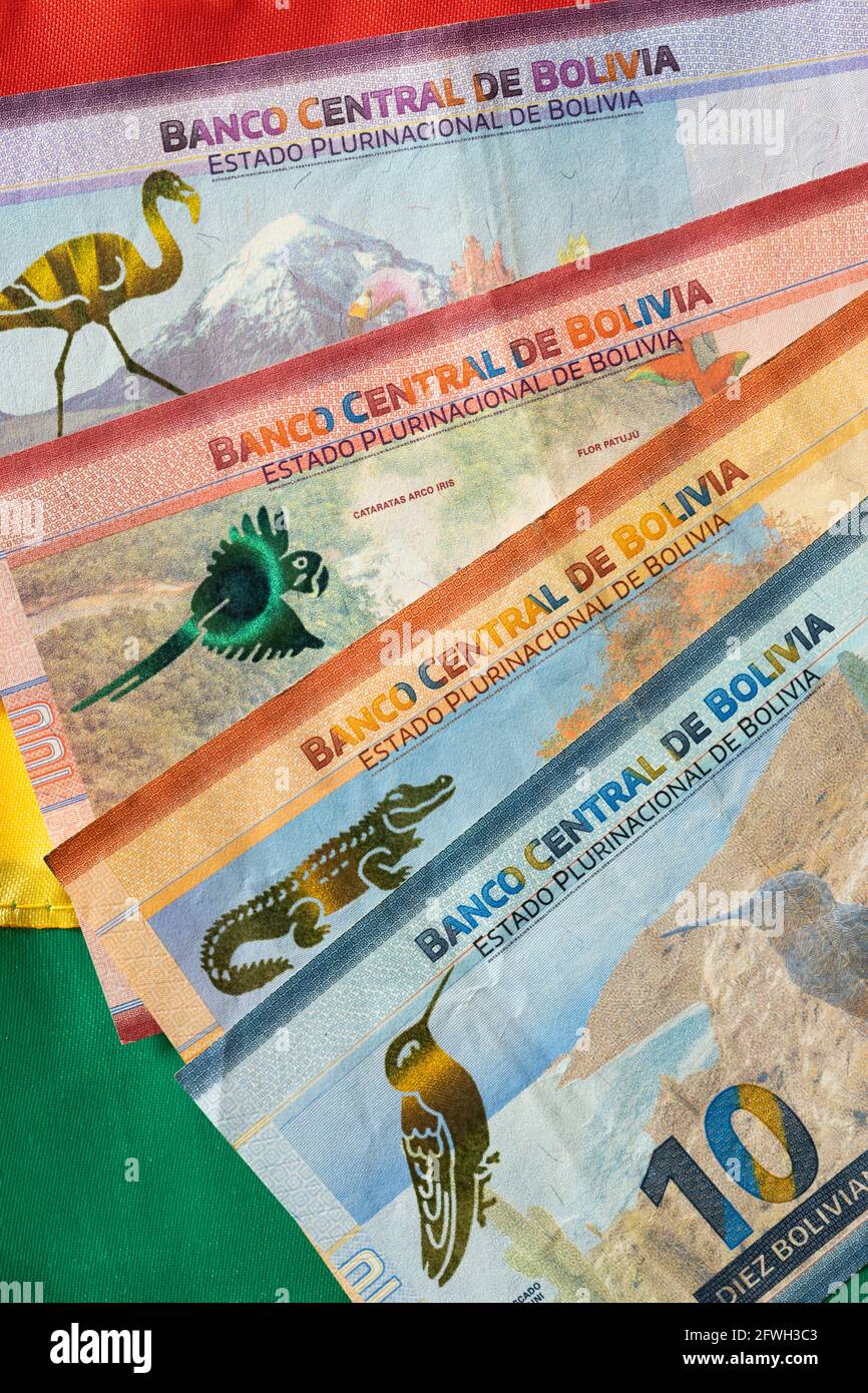 Bolivian currency on the background of the national flag, various ...