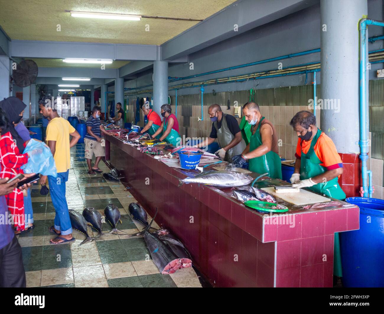Male maldives red snapper hi-res stock photography and images - Alamy
