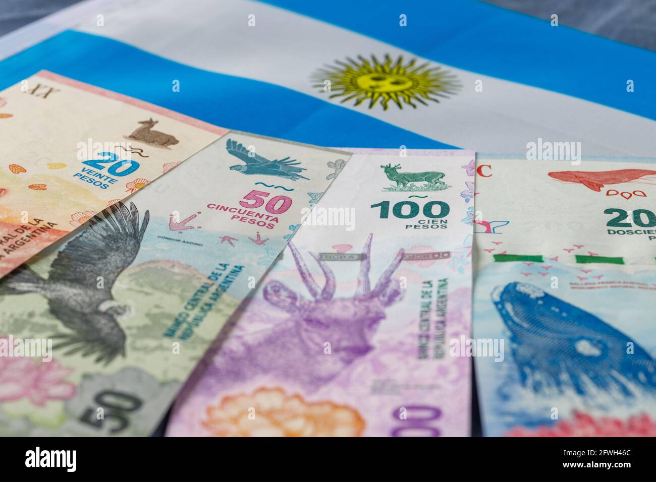 Argentinian pesos, different types of new banknotes against the ...