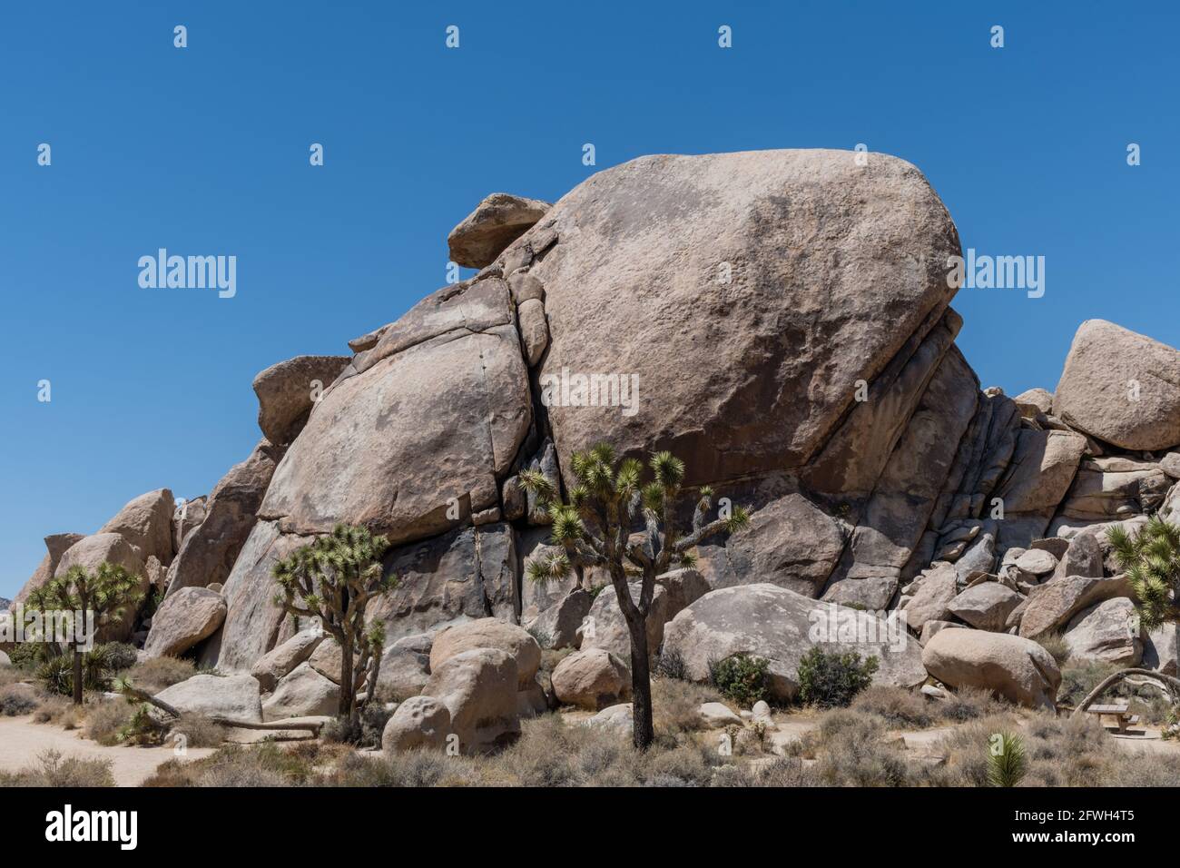Scenic rock formation at the Joshua Tree National Park, Southern ...