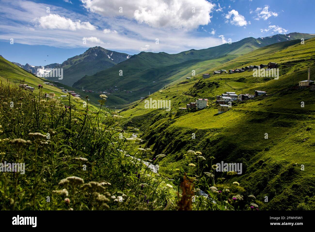An image of houses positioned on mountains where nature gushes from the ...