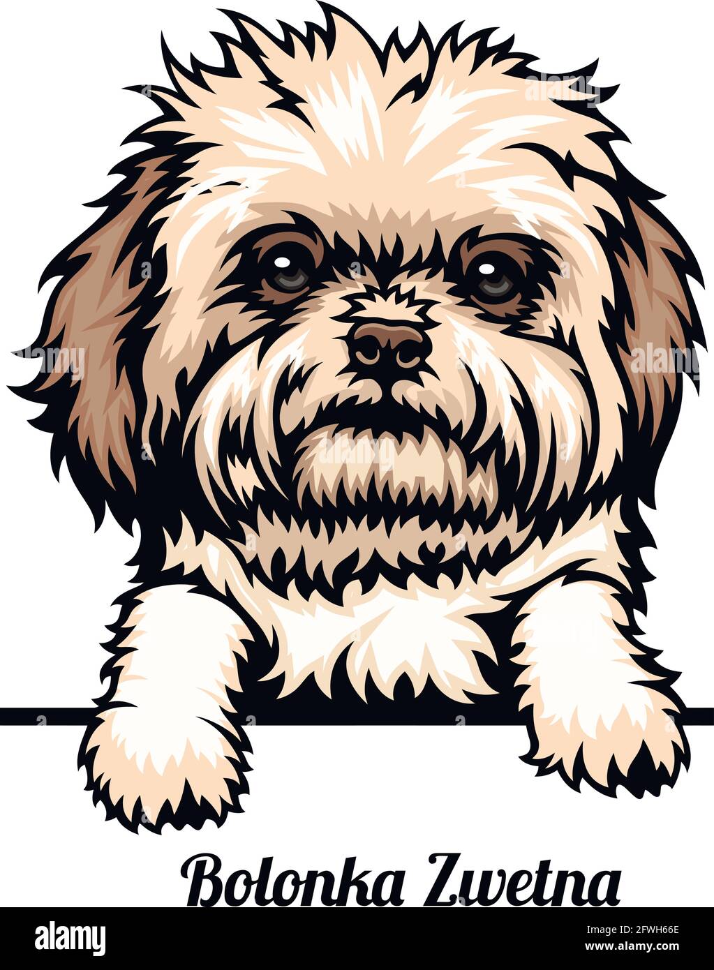 Bolonka silhouette hi-res stock photography and images - Alamy