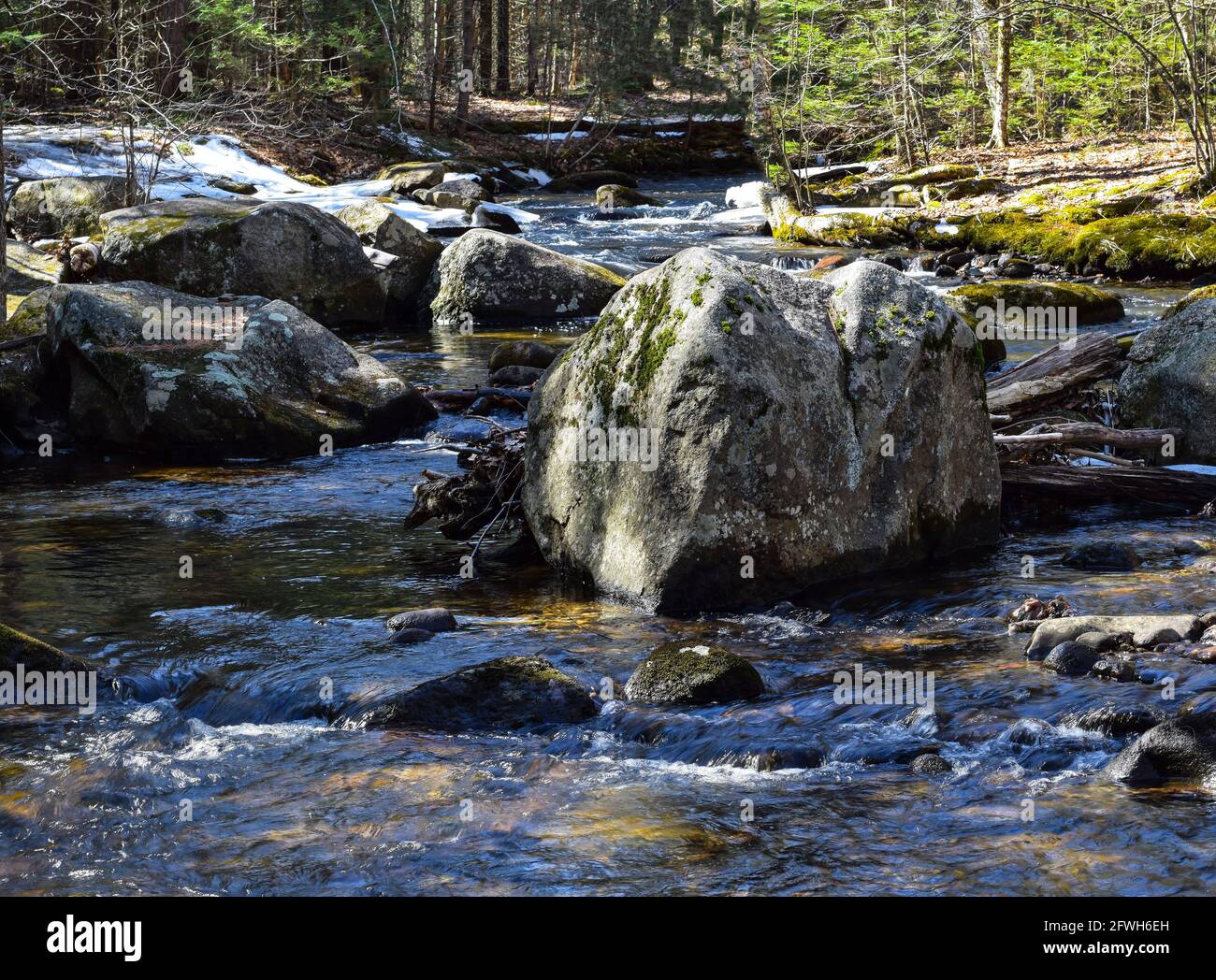 a river traveling through willard brook state forest in townsend ...