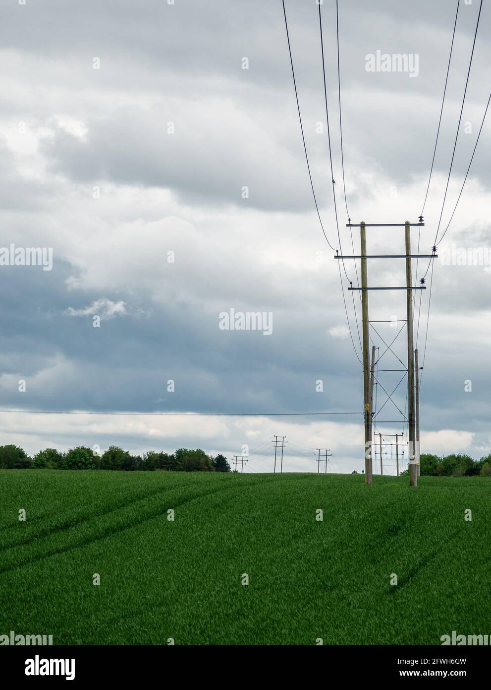 looking along a line of wooden electricity power poles across green ...
