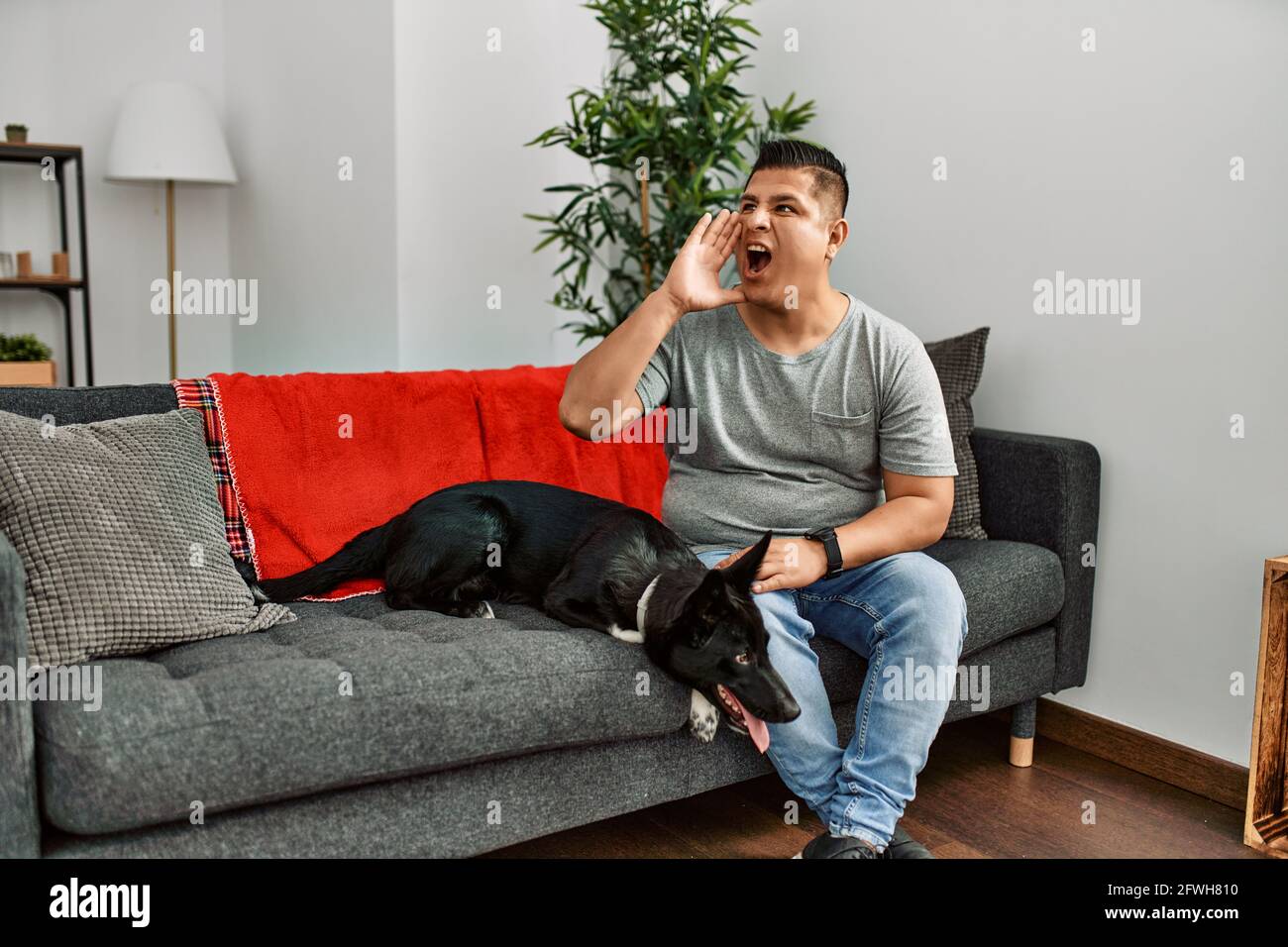 Man yelling at dog hi-res stock photography and images - Alamy