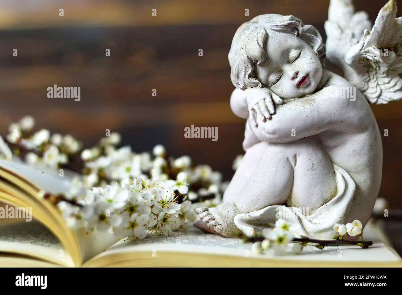 Angel spring hi-res stock photography and images - Alamy