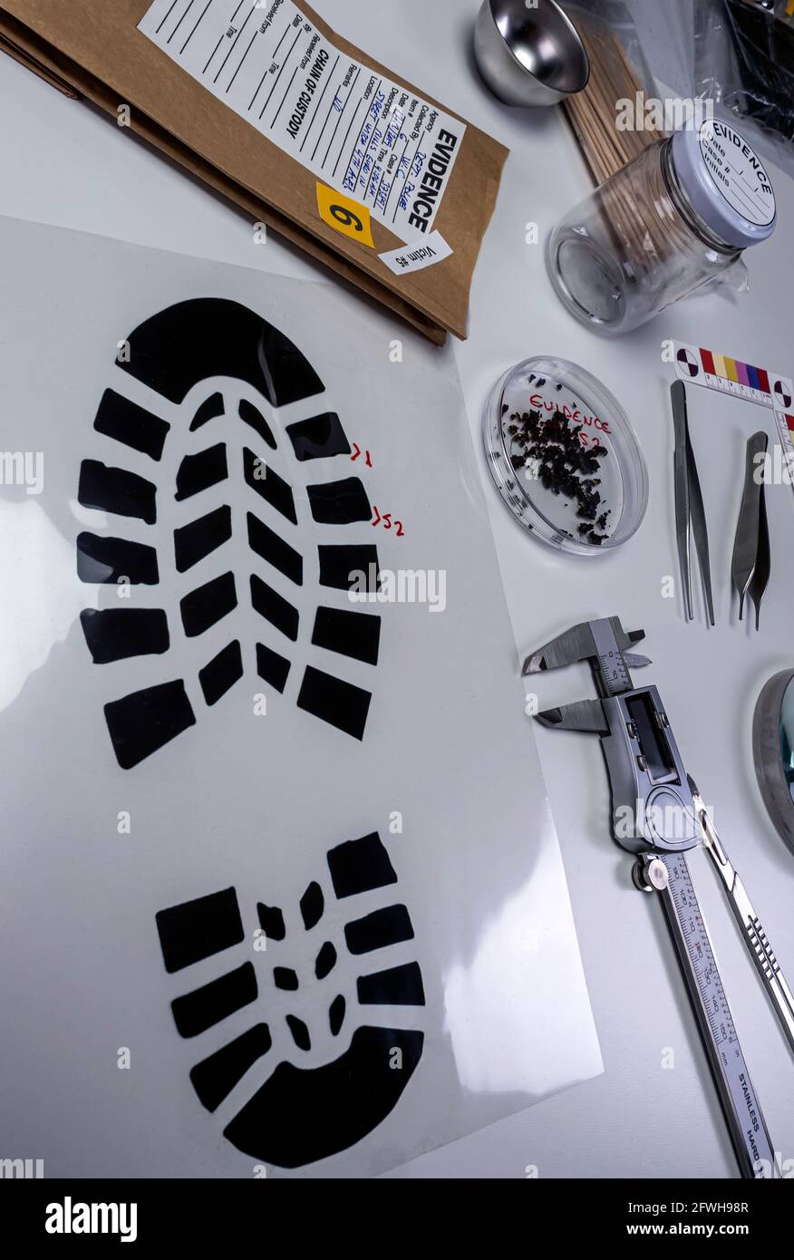 Forensic lab, shoe prints examined as evidence of murder victim ...