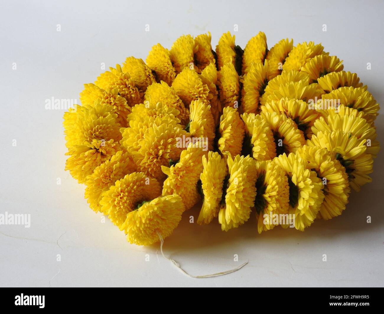 Connected flowers hi-res stock photography and images - Alamy