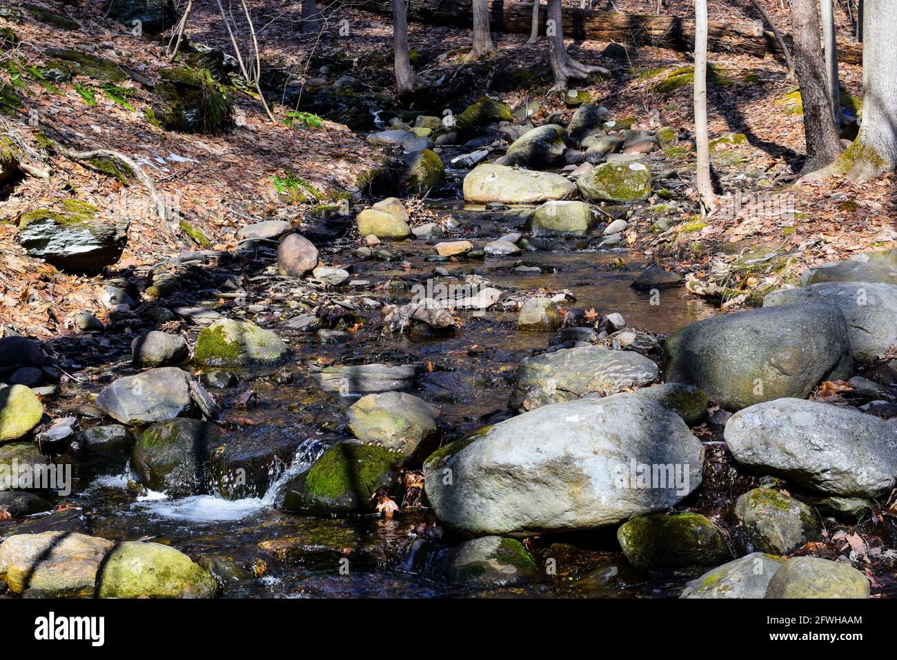 water flowing through a small brook in central new england Stock Photo ...