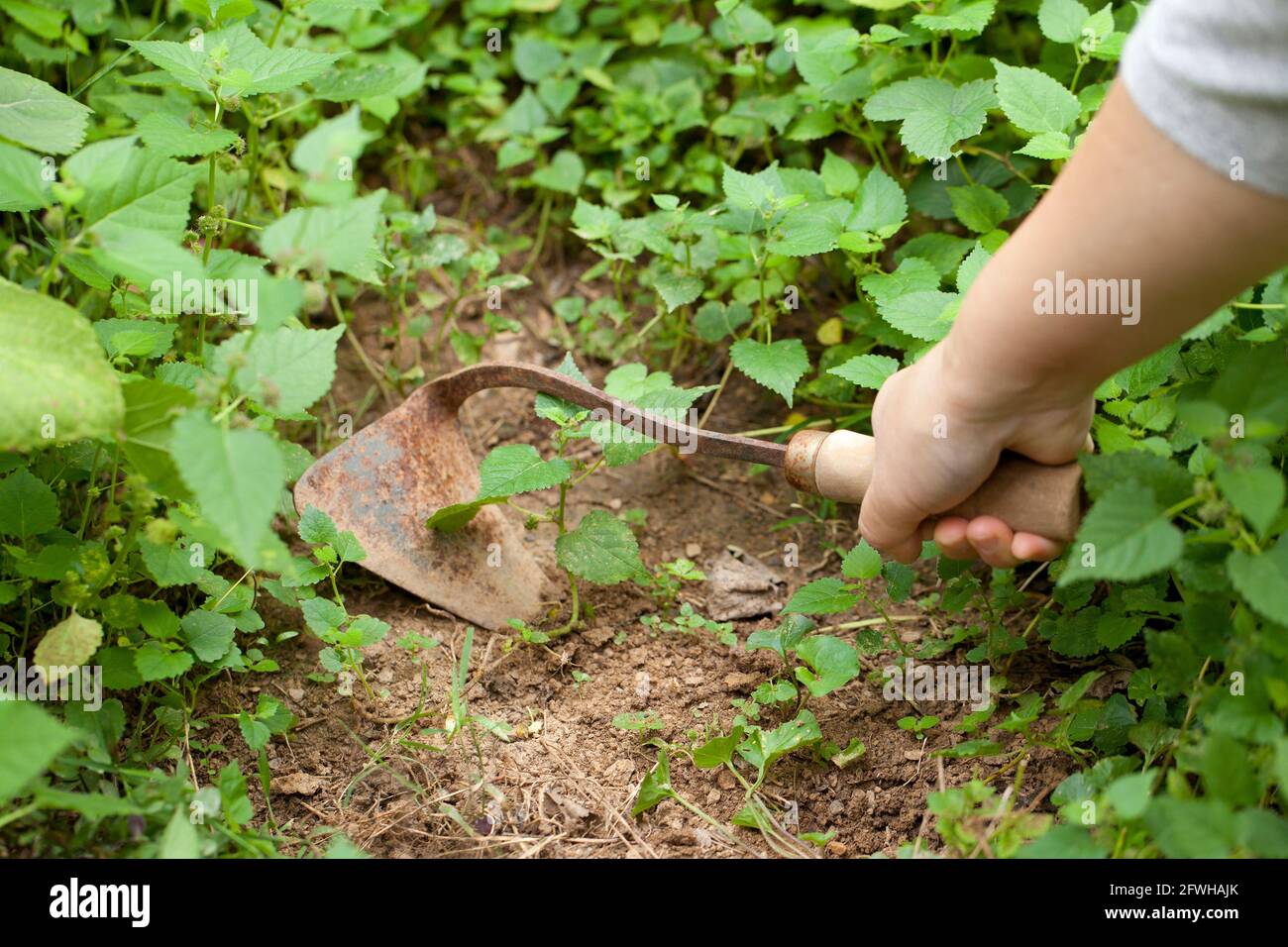 Hand plough hi-res stock photography and images - Alamy