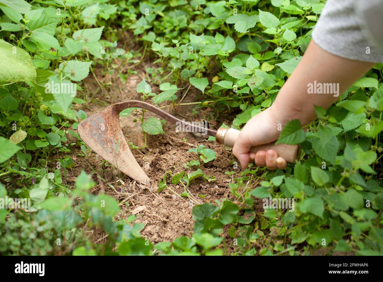 Hand plough hi-res stock photography and images - Alamy