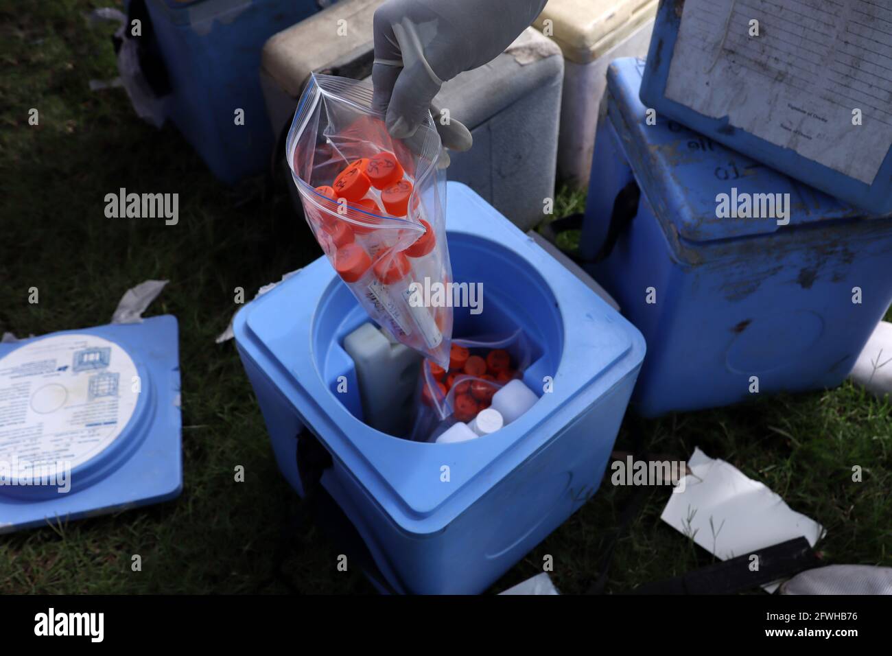 Swab samples stored in a medical box to test RT-PCR for COVID-19 ...