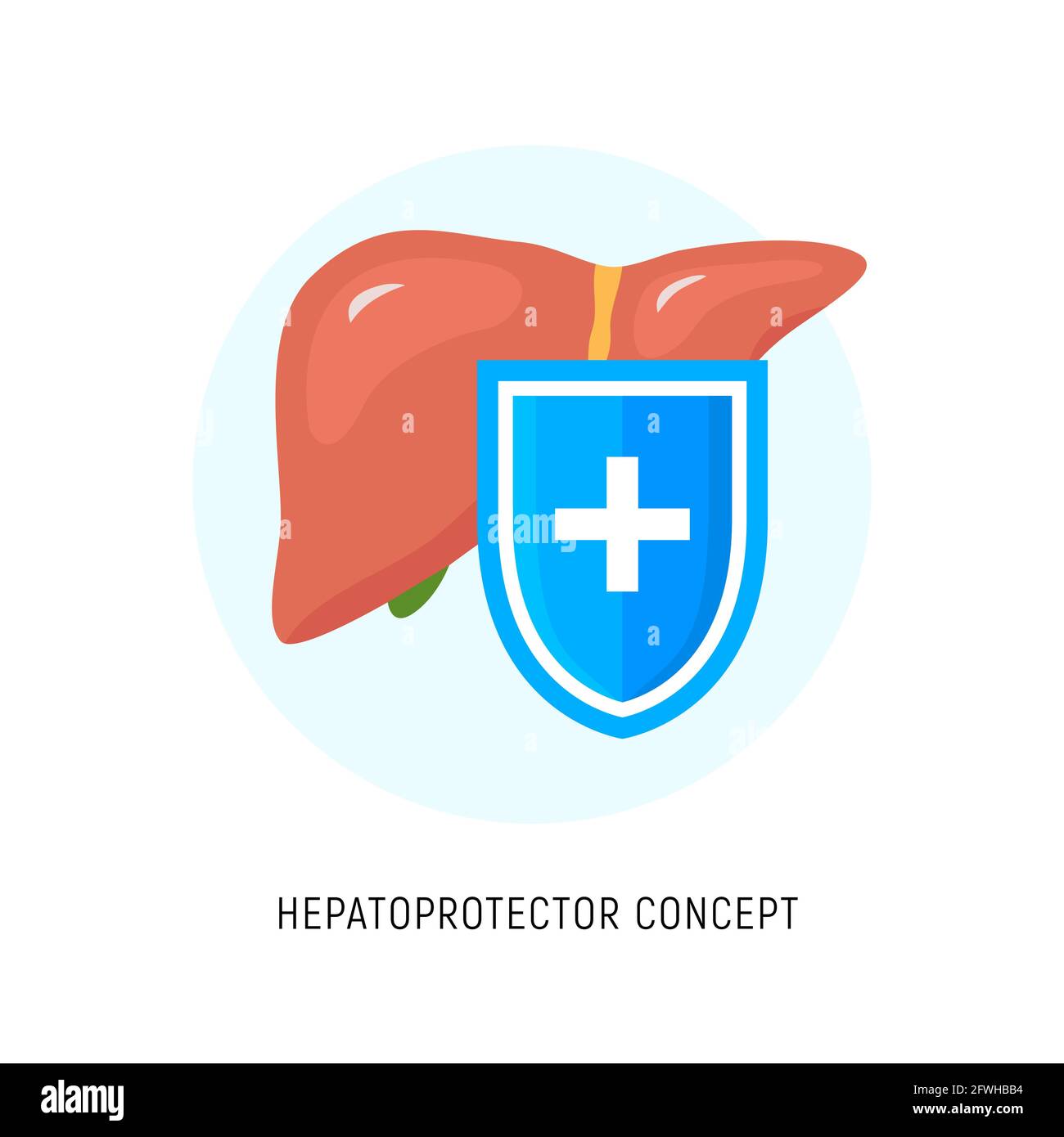 Hepatoprotector concept icon, healthy liver flat icon shield. Liver ...