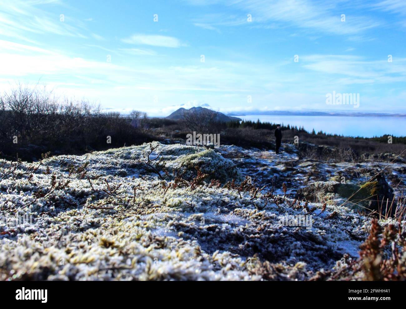 The frost-covered ground of Iceland Stock Photo - Alamy