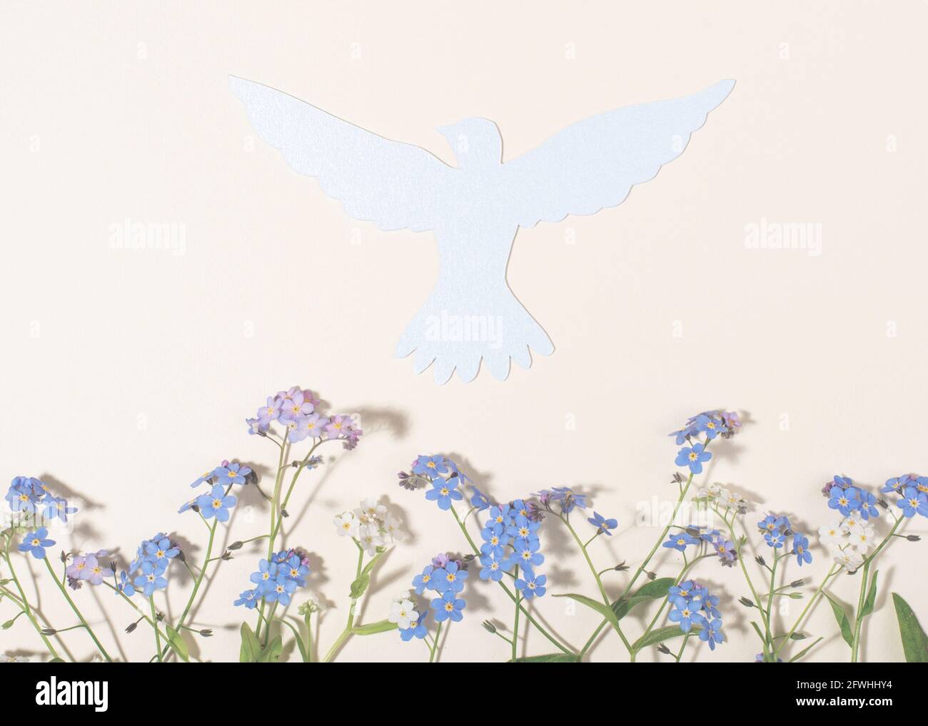 Flowers and white paper dove on light background. Flat lay, top view ...