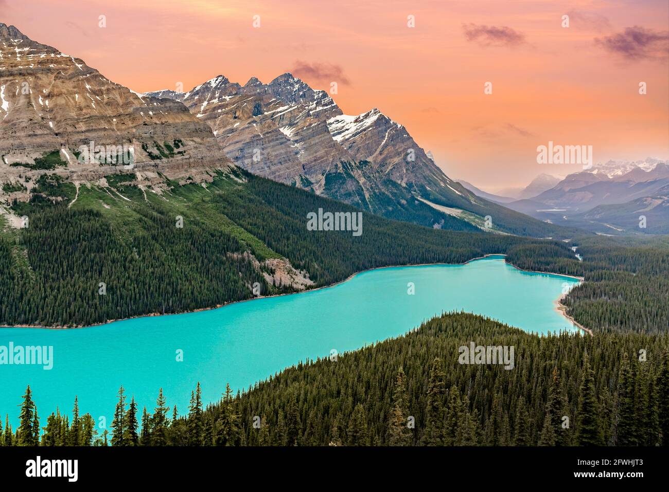 Iconic and beautiful Peyto Lake in Banff National Park, Alberta Canada with pink sunset ...