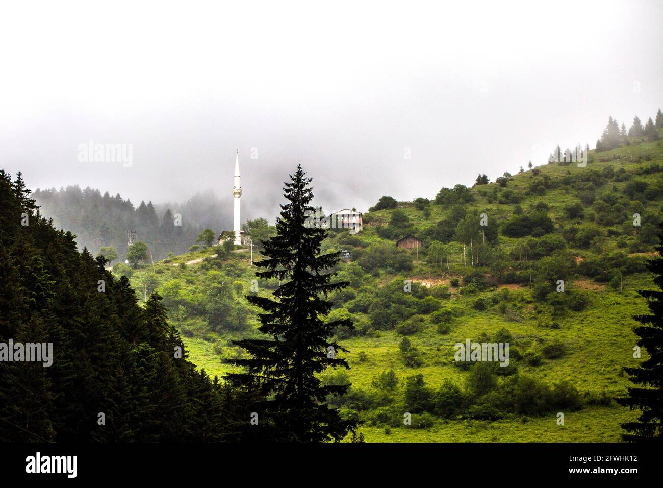 An image of houses positioned on mountains where nature gushes from the ...