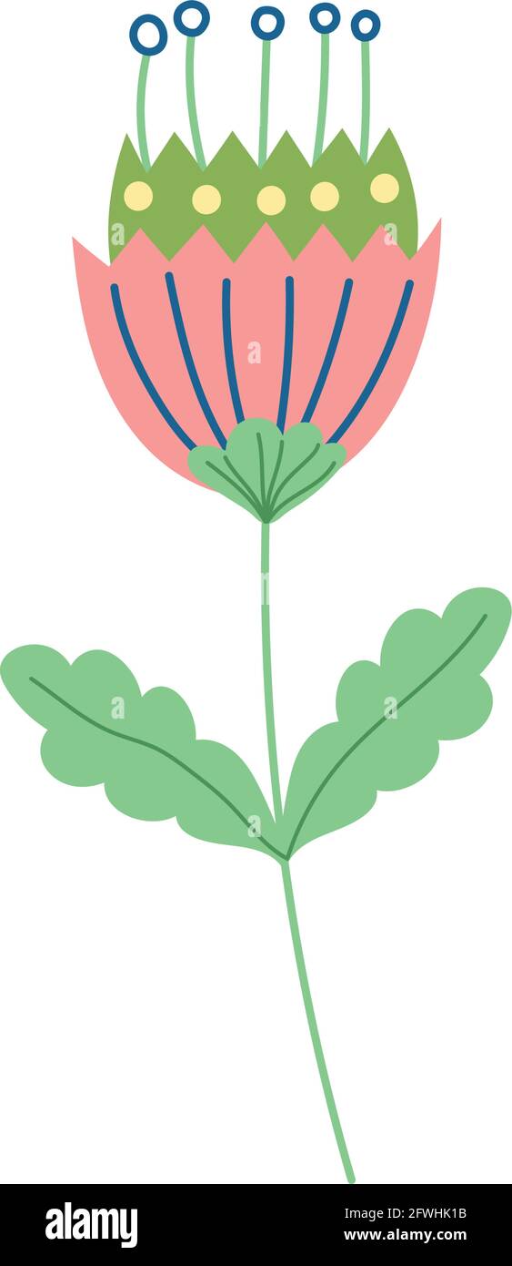 flower natural decoration Stock Vector Image & Art - Alamy
