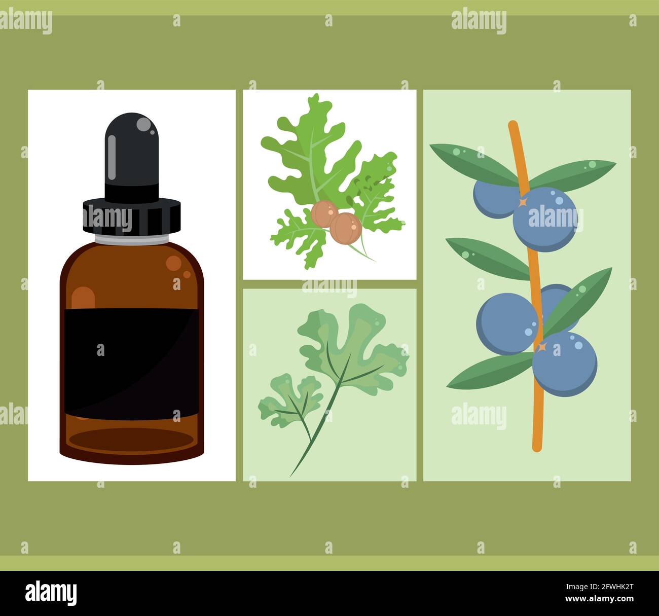 essential oil set Stock Vector Image & Art - Alamy